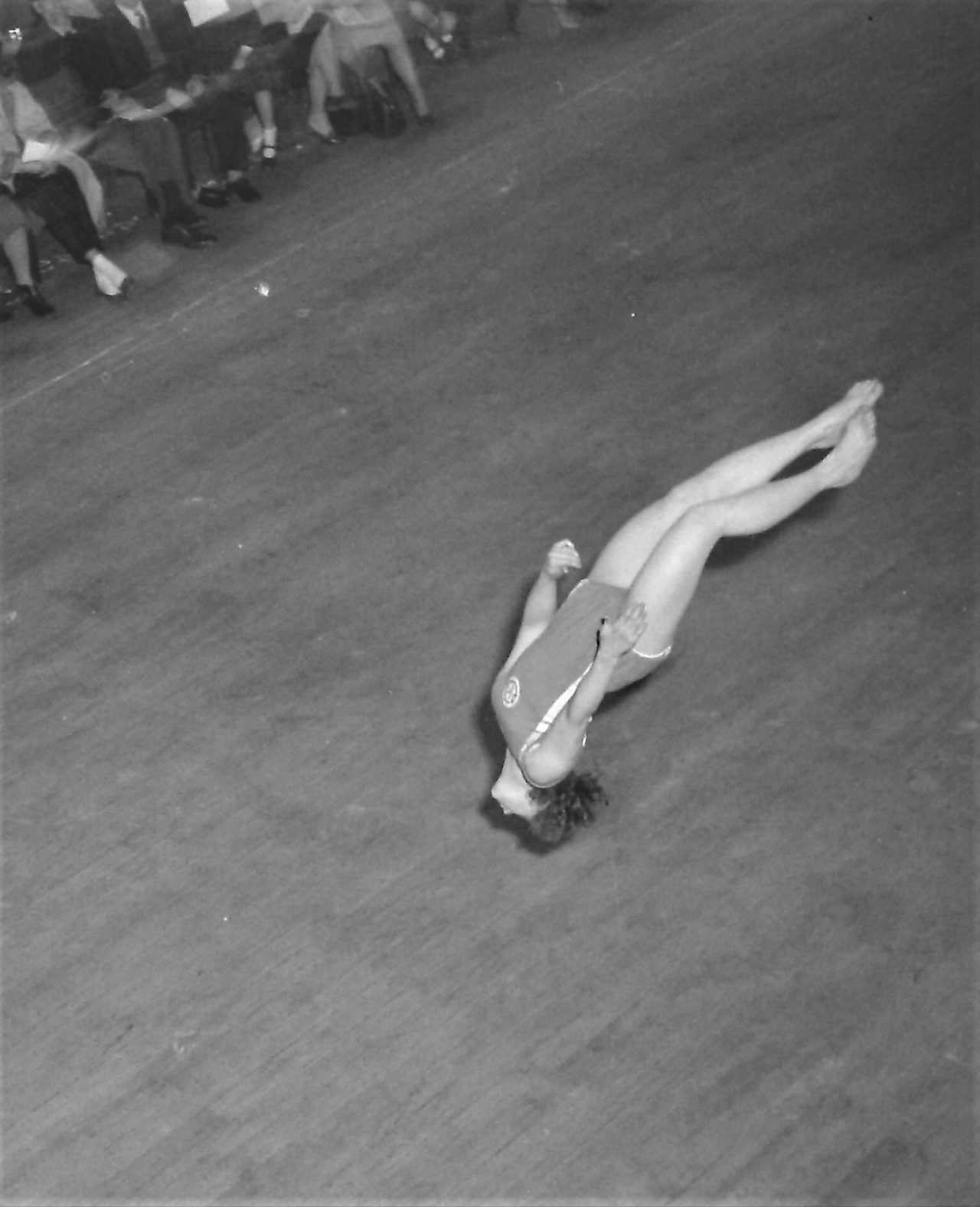 Denise Goddard - Gymnastics History